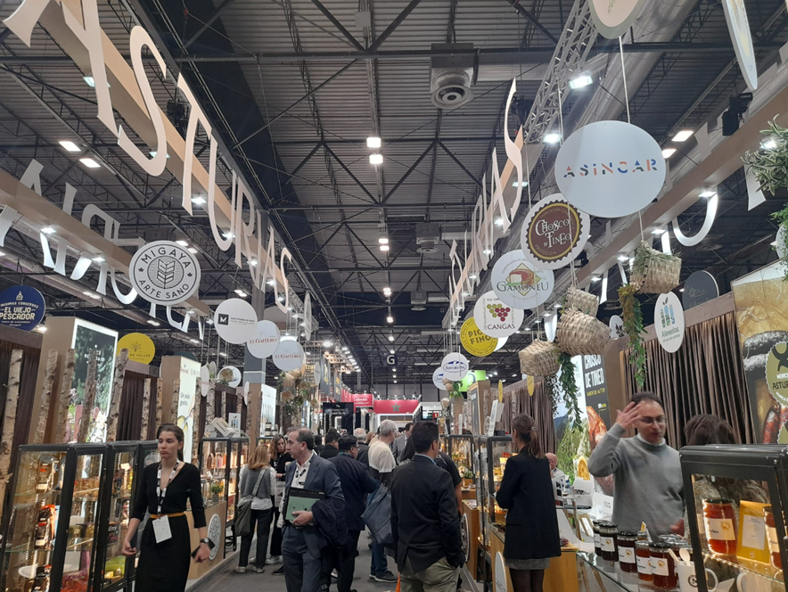 The Philippine Embassy in Spain Spearheaded Study Tour for Filipino ...